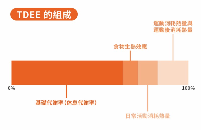 什麼是TDEE？想增肌減脂一定要了解！｜超核心健身中心 Hypercore Fitness